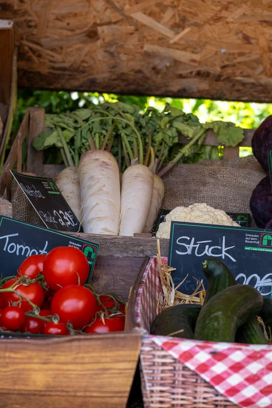 De Regnitzradweg - mooie route voor een Fietsvakantie in Franken - Ben ...